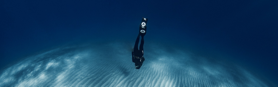 alchemy - Hi-End Carbon Fins & Accessories For Freediving ...