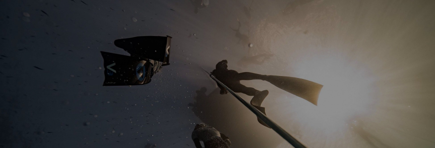 alchemy - Hi-End Carbon Fins & Accessories For Freediving ...